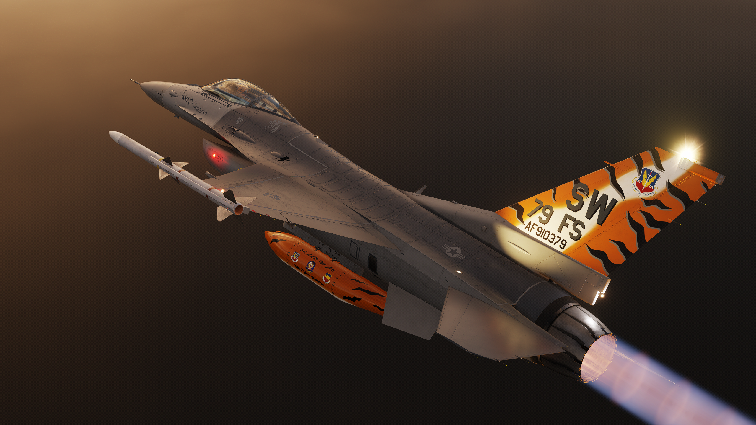 79th Tigers Flagship 91-0379 - 2005 Tiger Meet - F-16C - ED 79th Tigers Flagship 91-0379 - 2005 Tiger Meet - F-16C - ED